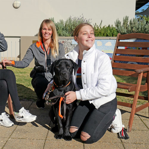 Teenagers Test Drive A Guide Dog - Guide Dogs WA