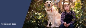 Companion Dogs | Guide Dogs WA