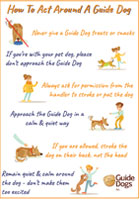 How To Act Around A Guide Dog Or Assistance Dog | Guide Dogs WA