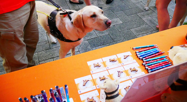 Guide Dogs WA - Guide & Assistance Dog Providers In WA