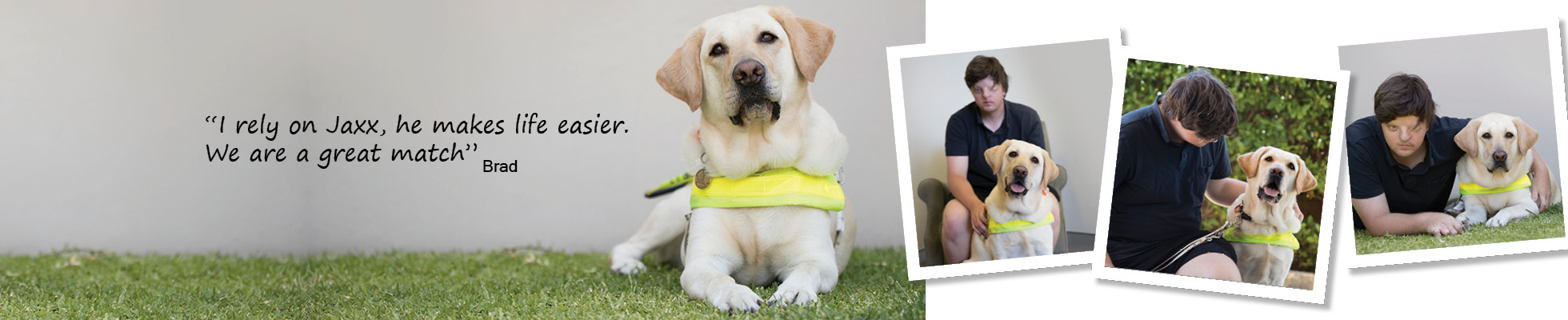 Guide Dogs WA - Guide & Assistance Dog Providers In WA