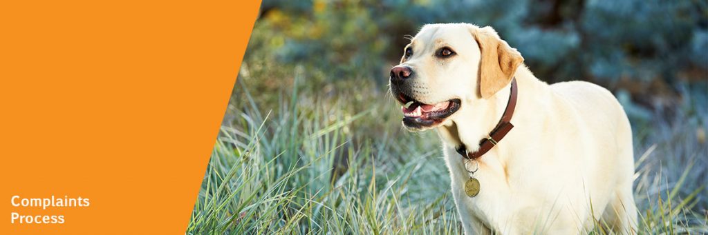 Complaints Process - Guide Dogs WA