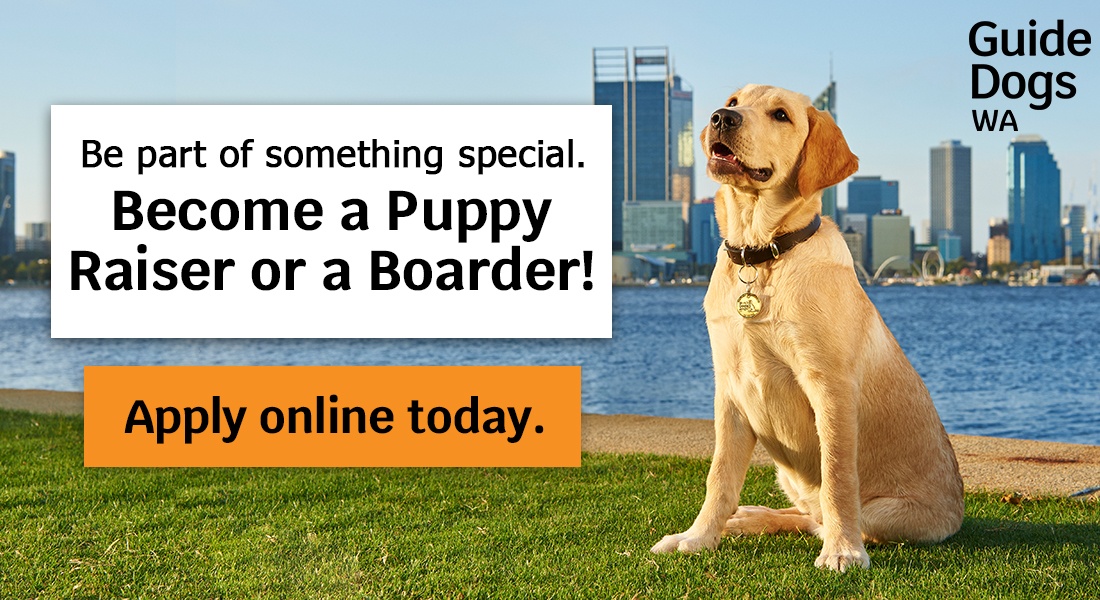 Get Involved - Guide Dogs WA