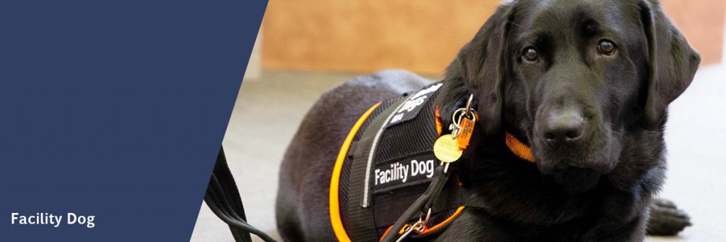 Get Support - Facility Dogs - Guide Dogs WA