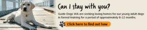 Guide Dogs WA - Guide & Assistance Dog Providers In WA