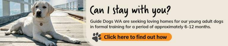 Guide Dogs WA - Guide & Assistance Dog Providers In WA