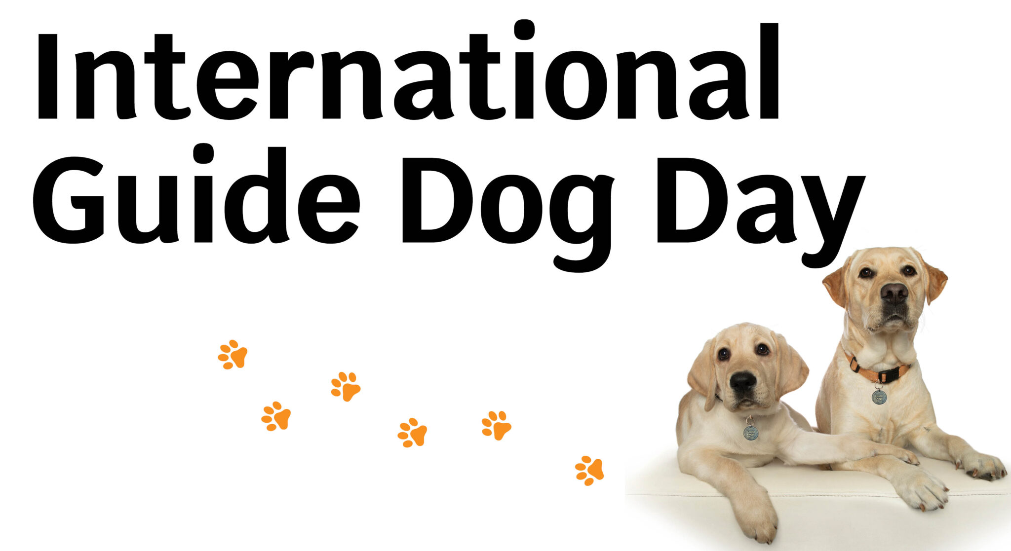 Get Involved - Guide Dogs WA