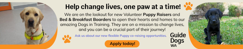 Guide Dogs WA - Guide & Assistance Dog Providers In WA