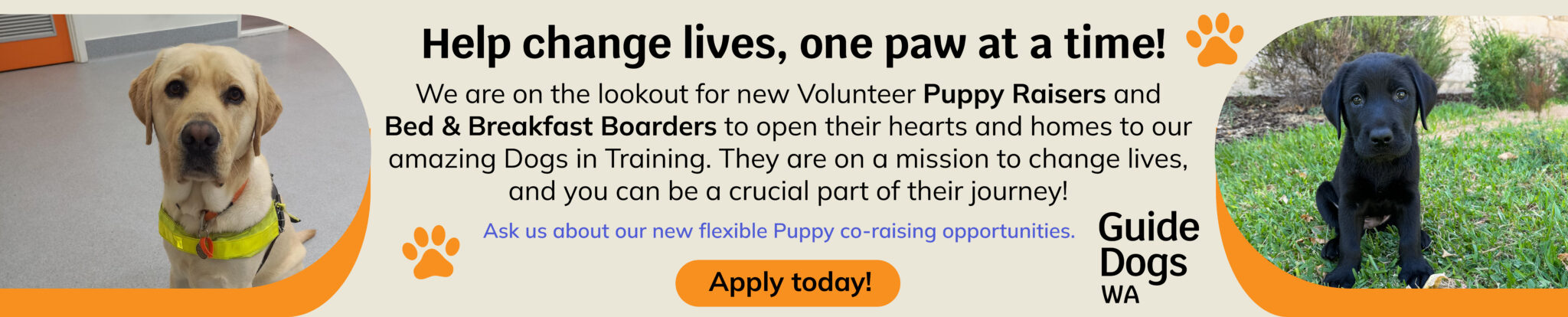 Guide Dogs WA - Guide & Assistance Dog Providers In WA